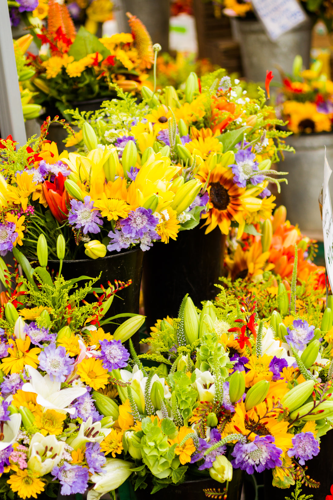 Same-Day Flower Delivery USA | Fresh Flowers & Gifts | Bloomex USA ...